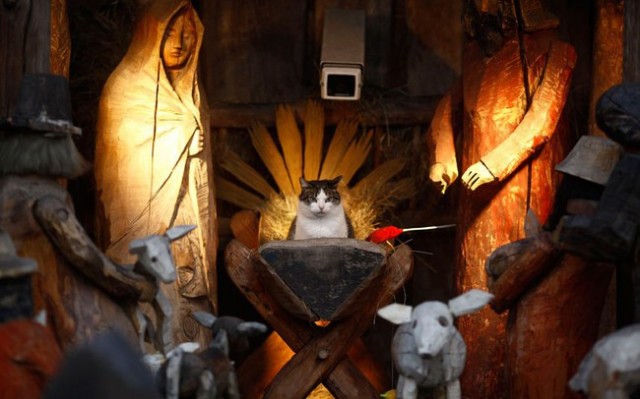 ALTERNATIVE NATIVITY SCENES... - Pee-wee's blog