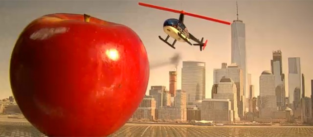 Pee-wee's Big Holiday Archives - Pee-wee's blog