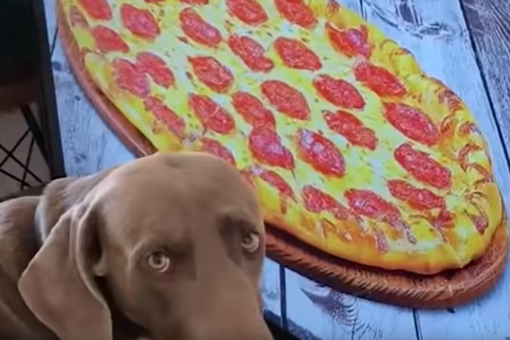 Dog tries to eat pizza on TV ad!! - Pee-wee's blog