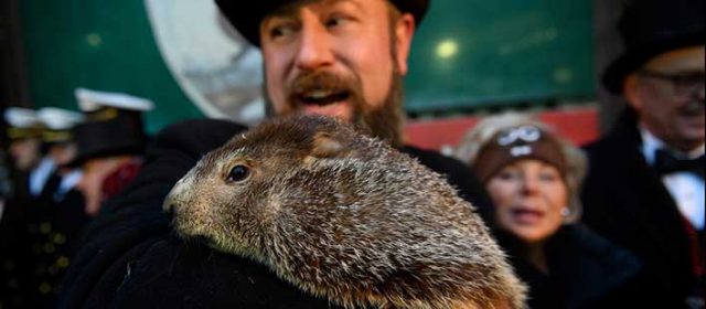 Punxsutawney-Phil-featured-2019-by-Jeff-Swensen - Pee-wee's blog