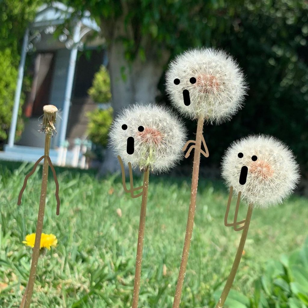 The quirky world of Sean Charmatz!! - Pee-wee's blog